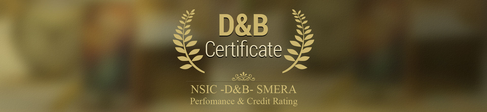 DNB Certificate - BR Softech Pvt. Ltd.